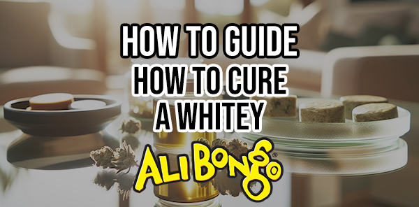 Overcoming a Whitey: Your Go-To Guide for Cannabis Overindulgence Recovery