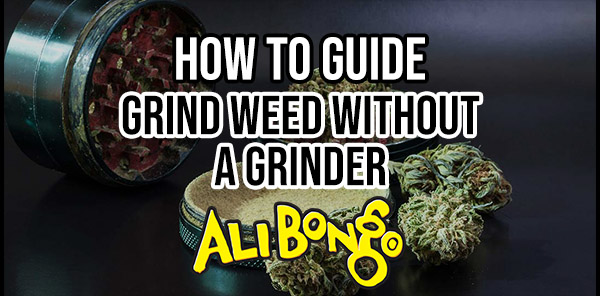 How to Grind Weed Without a Grinder | DIY Grinding Techniques