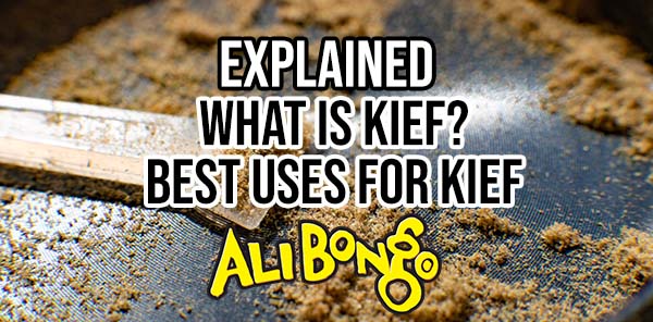 What Is Kief? The Best Ways to Use This Cannabis Concentrate